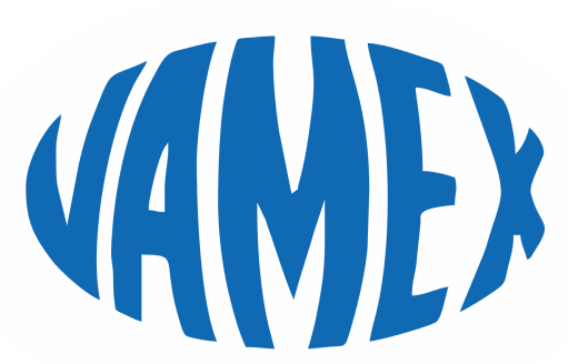 vamex-logo-wpes-less | WPES